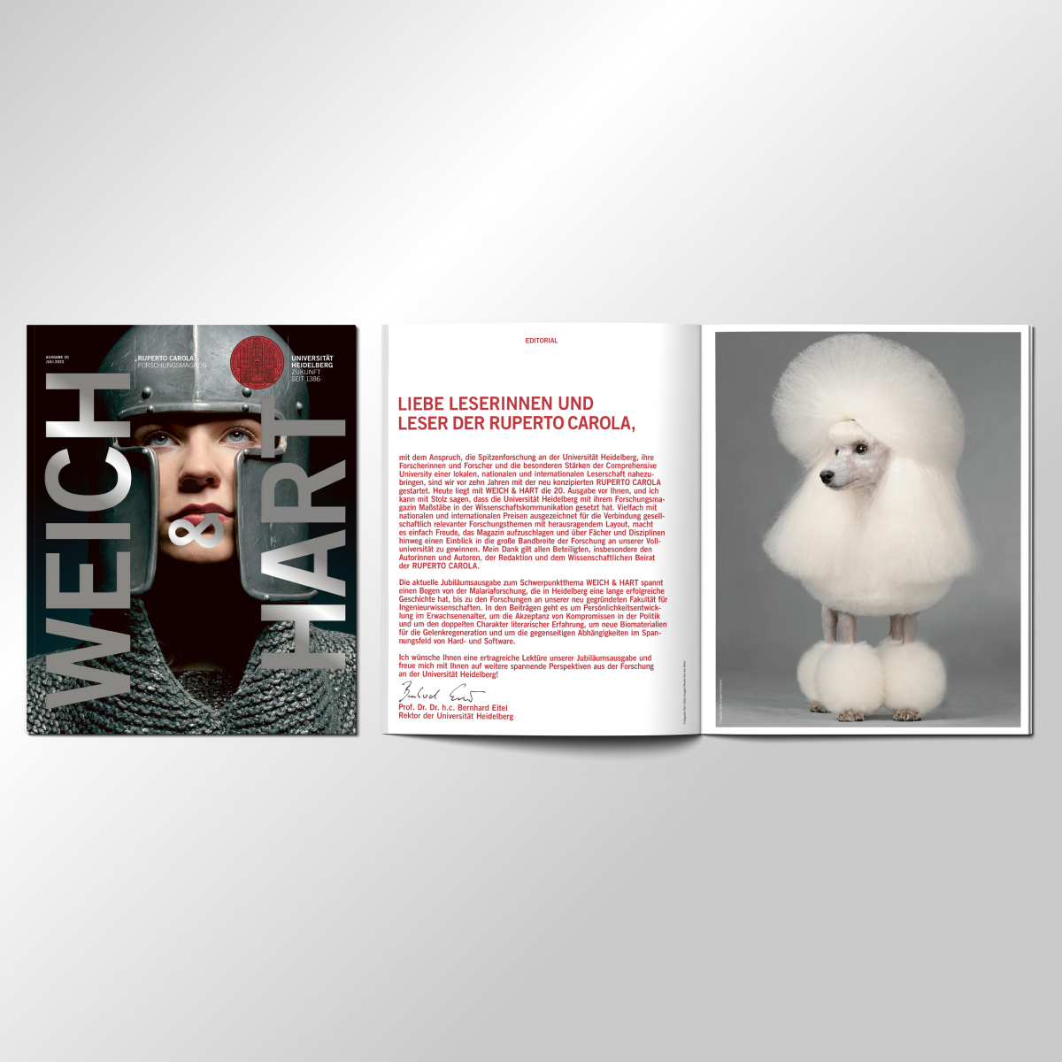 KMS TEAM – WEICH & HART