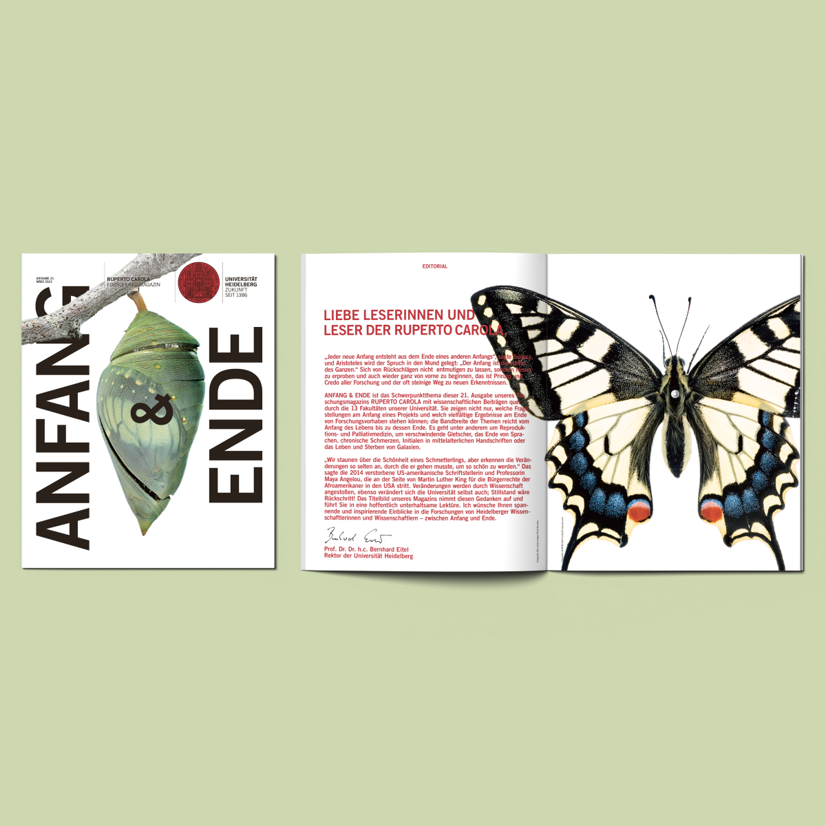 KMS TEAM – ANFANG & ENDE