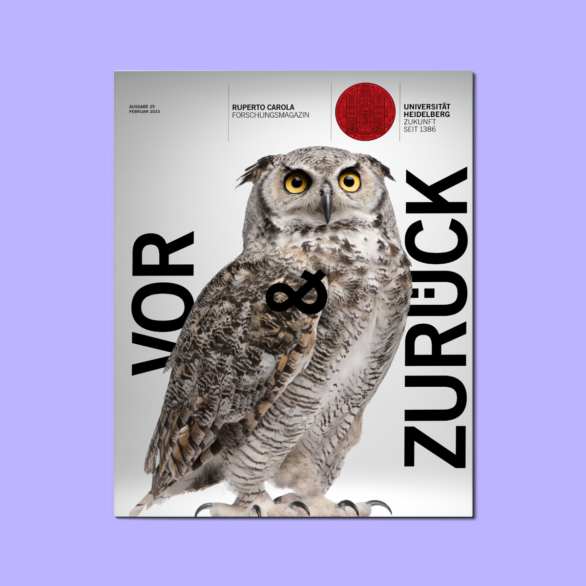 KMS TEAM – VOR & ZURÜCK